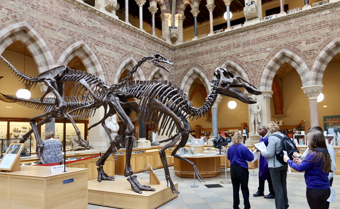 Teaching & Learning - Iffley Academy