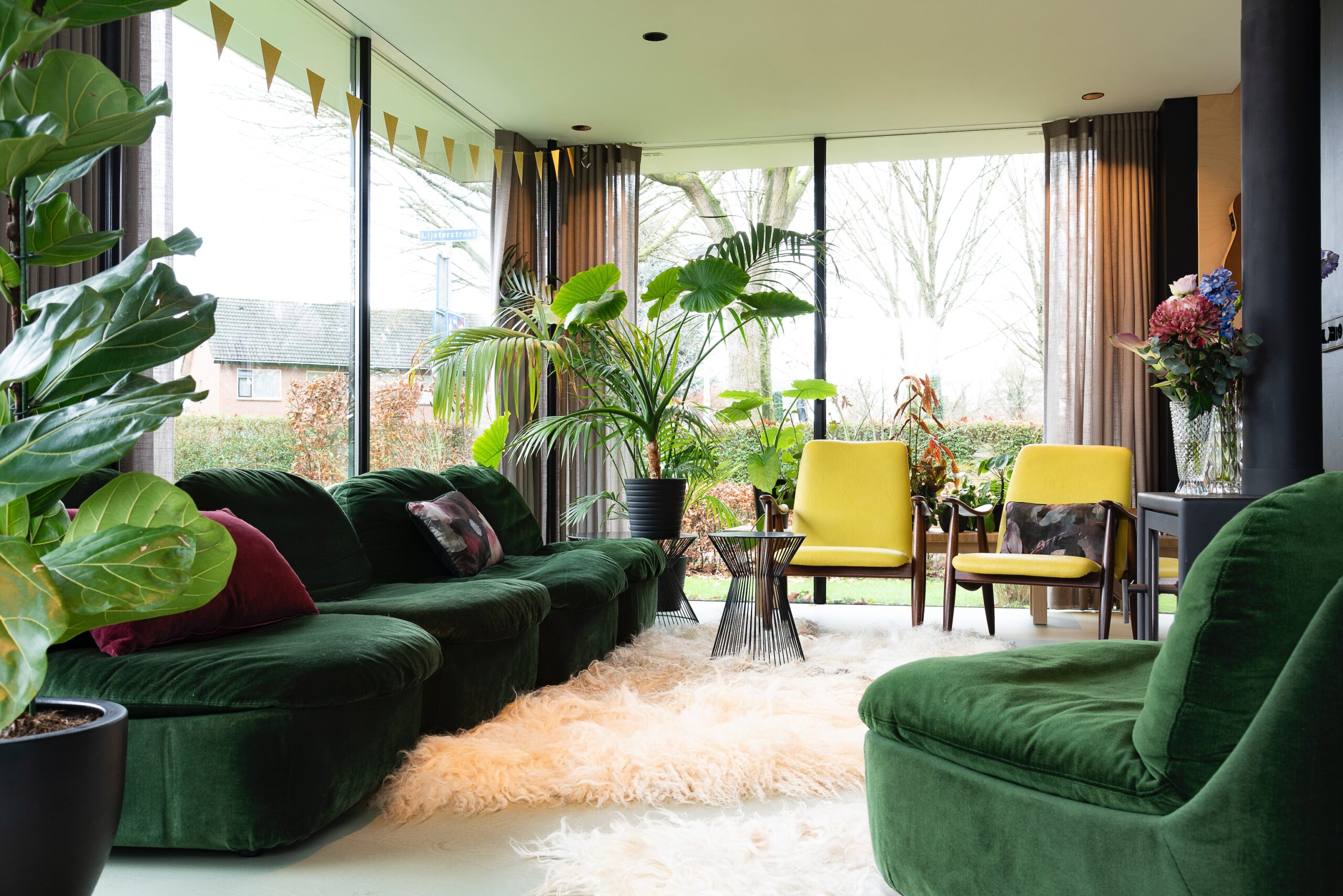 The Ultimate Guide to Adding Plants to Your Home - Petina Julius